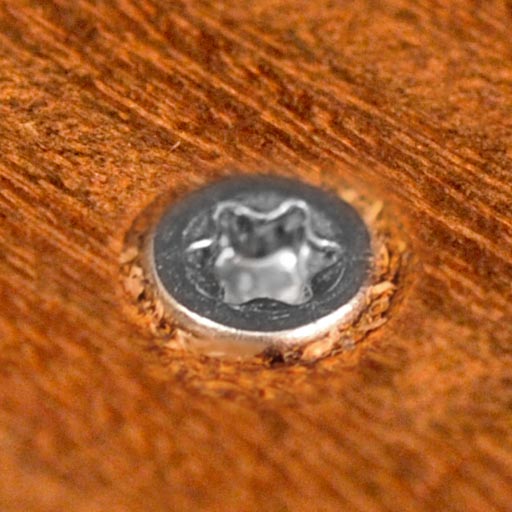 Stainless Steel Trim-Head Painted Deck Screws | DeckWise